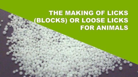 The Making Of Licks (Blocks) Or Loose Licks For Animals | AJ Products ...